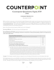 Counterpoint Quantitative Equity ETF (CPAI) - Counterpoint Funds