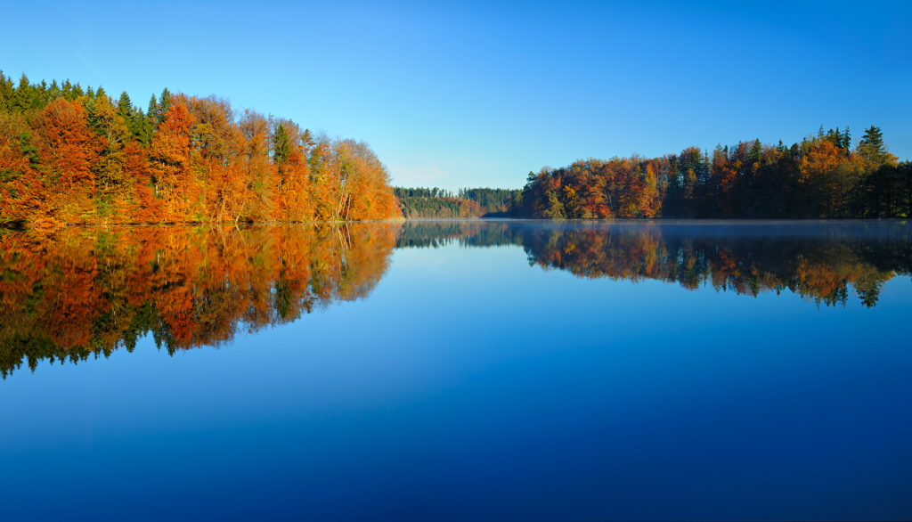 Events - Counterpoint Funds